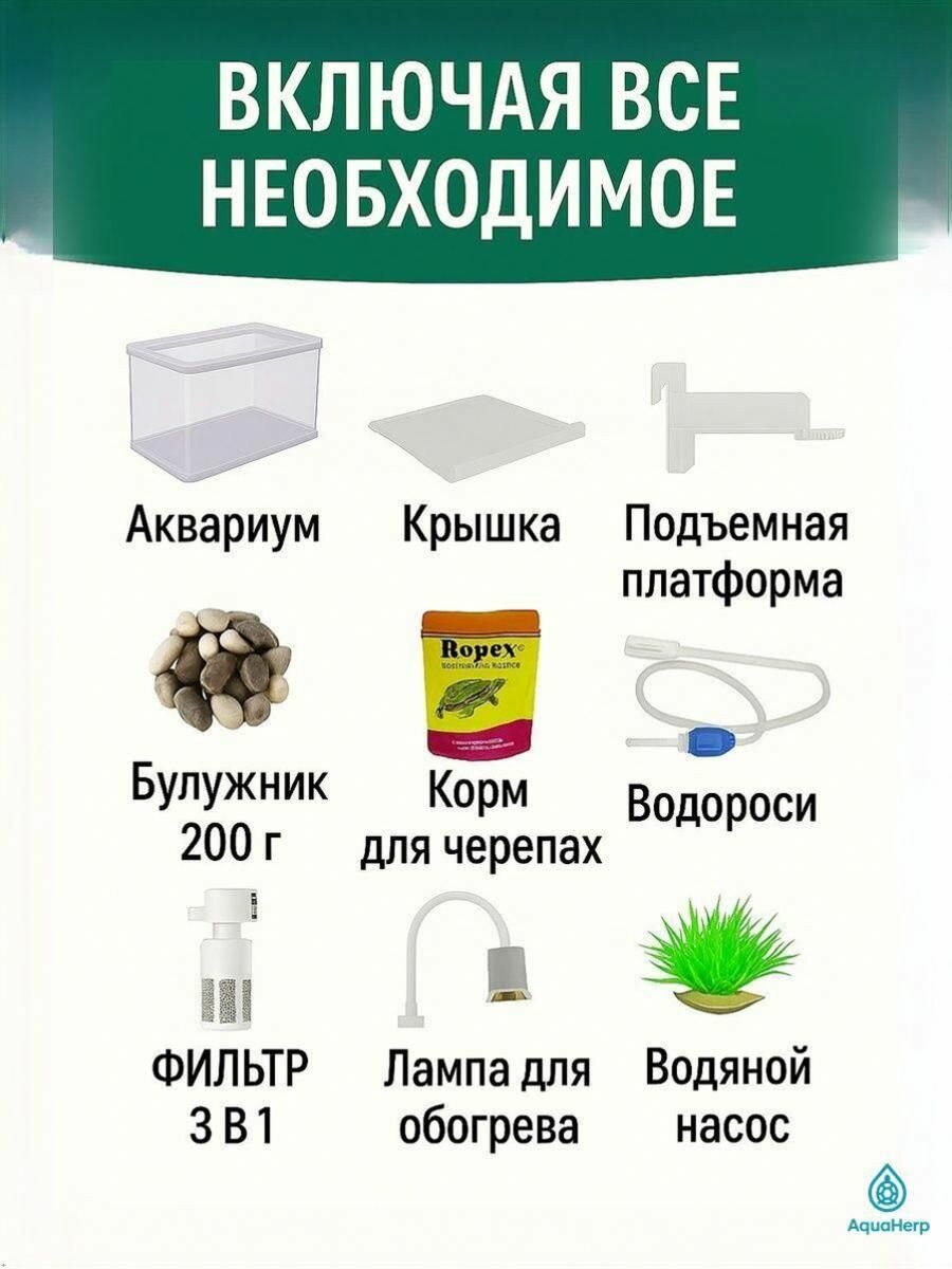Аквариум — фото 1
