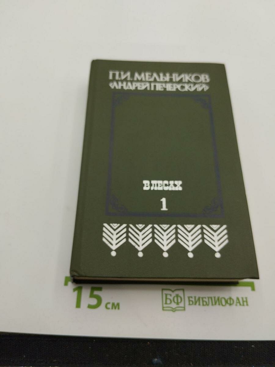 В лесах. Книга первая