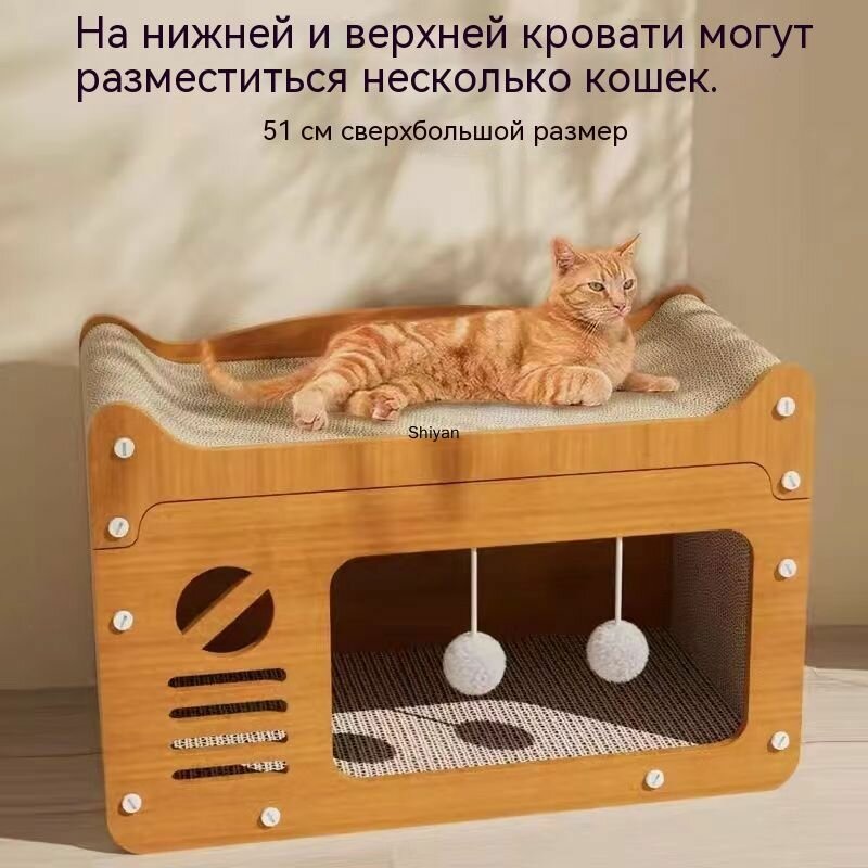 Зима в кошачьем доме — фото 1