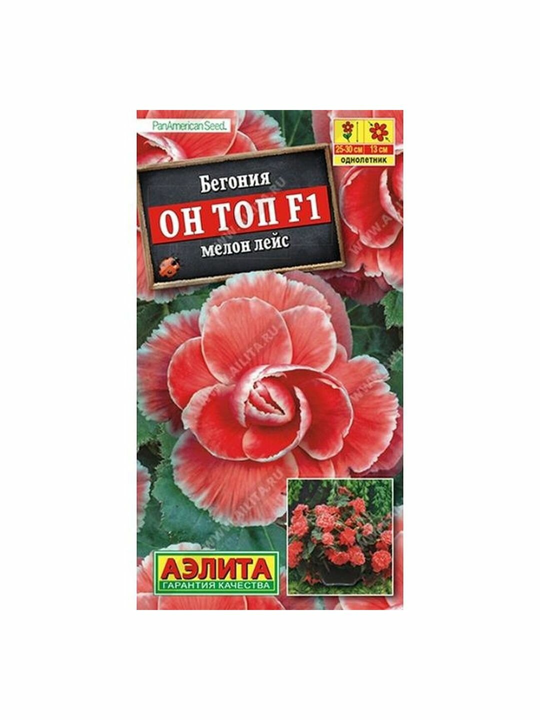 Семена Бегония Он Топ, мелон лейс F1, однолетник, Аэлита, 1 пачка - 5 семян