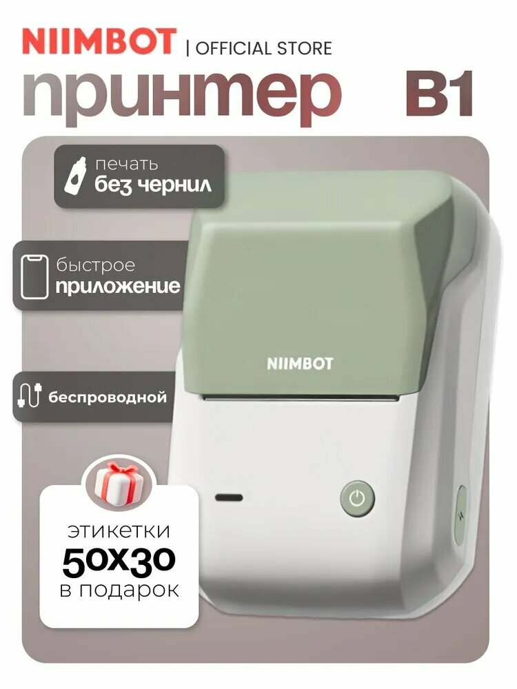 NIIMBOT Принтер для чеков термо , светло-зеленый, белый