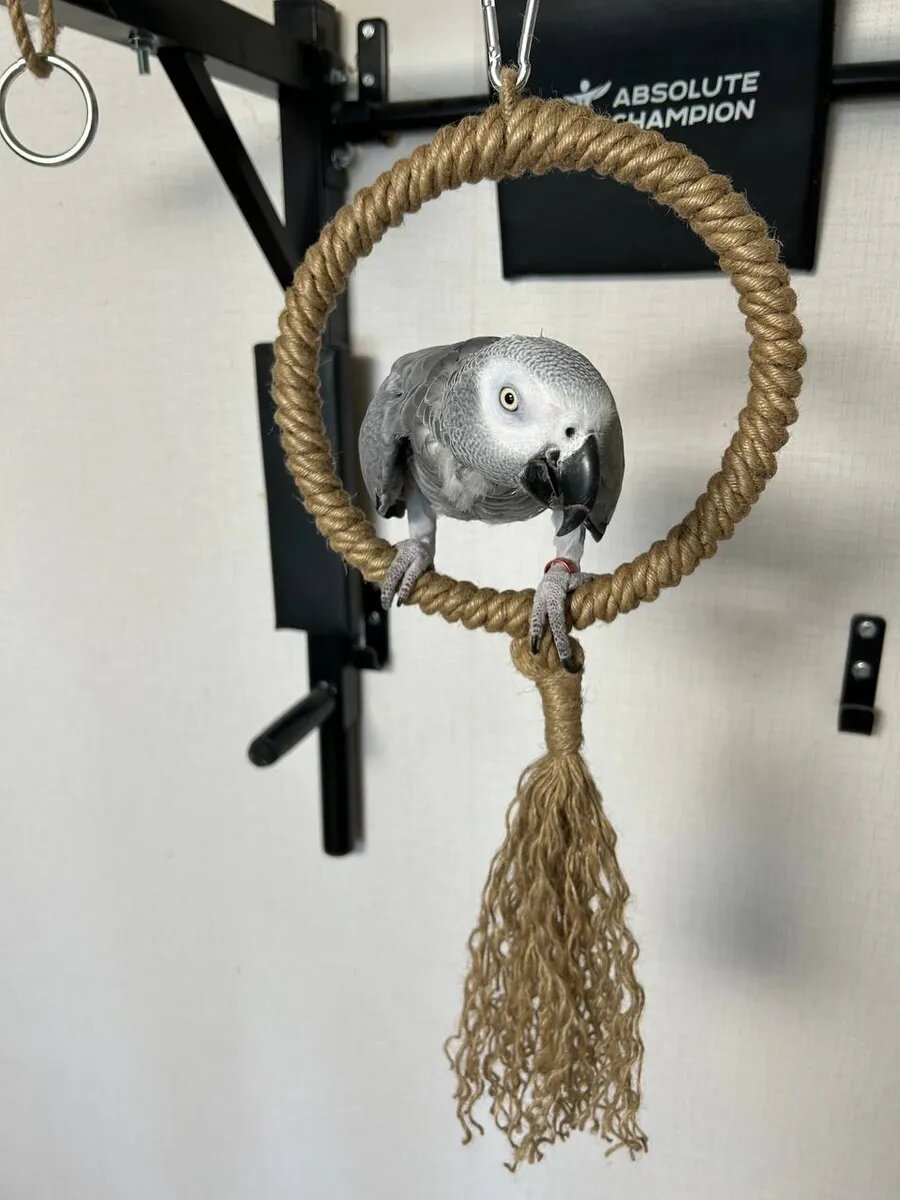 Игрушка для попугая - Подвесное джутовое колечко