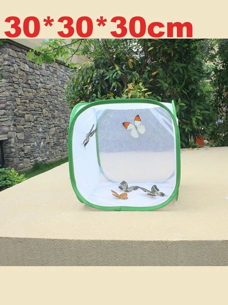 Ферма Бабочек Для Выращивания