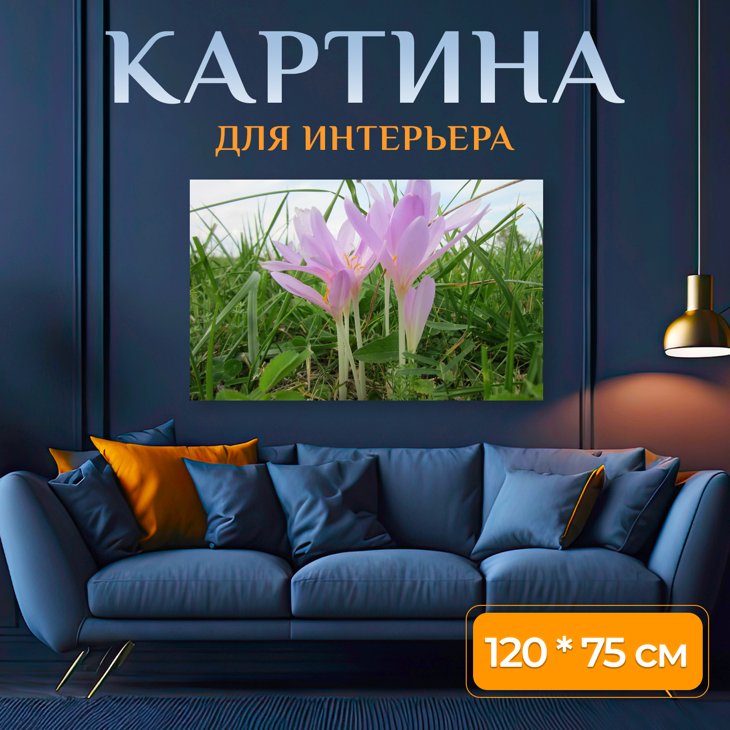 Картина на холсте "Безвременник осенний, завод, растения" на подрамнике 120х75 см. для интерьера