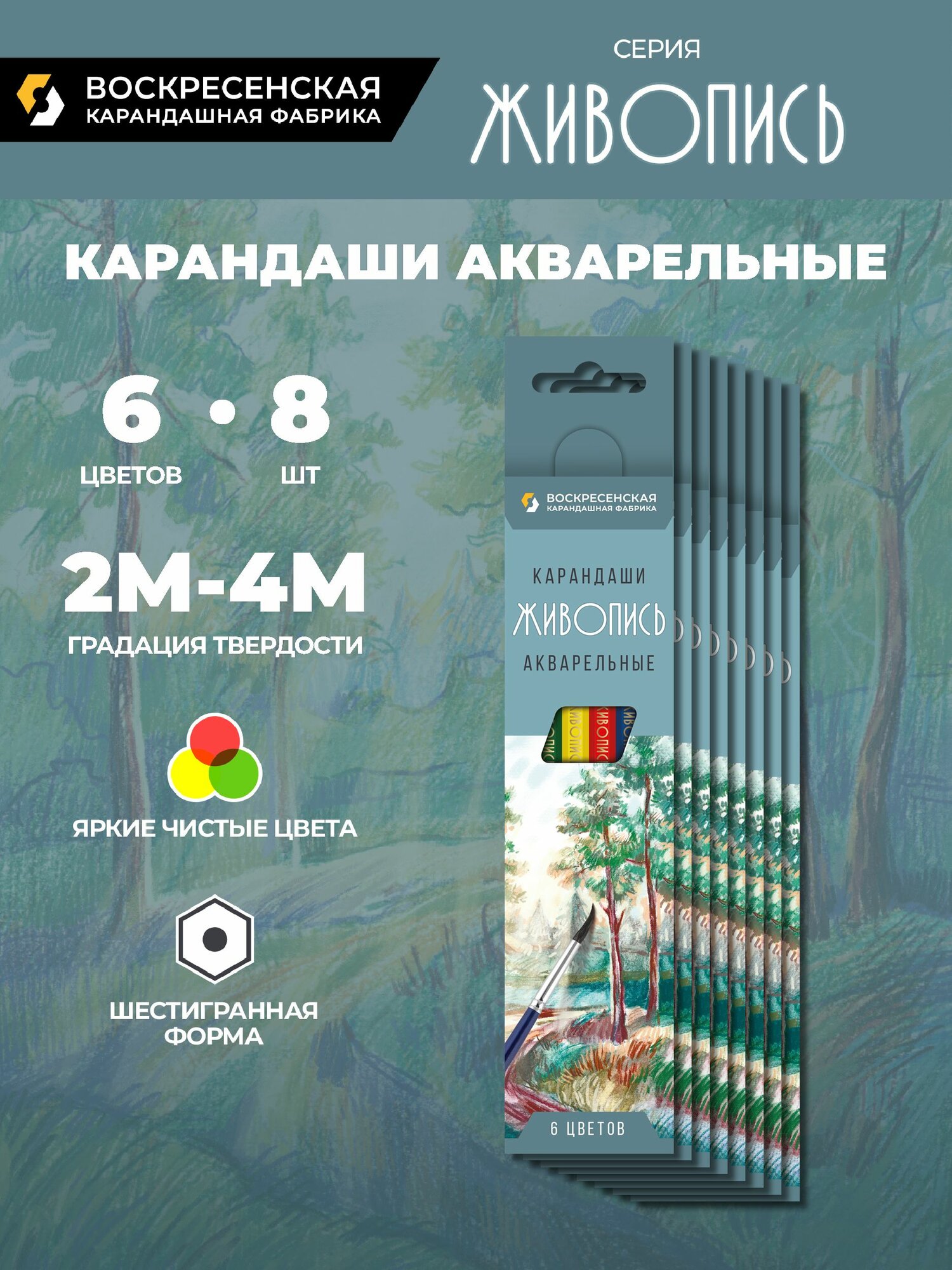 ВКФ карандаши акварельные Живопись, заточенные, набор 8 упаковок по 6 цветов, JIV-WCP-1006