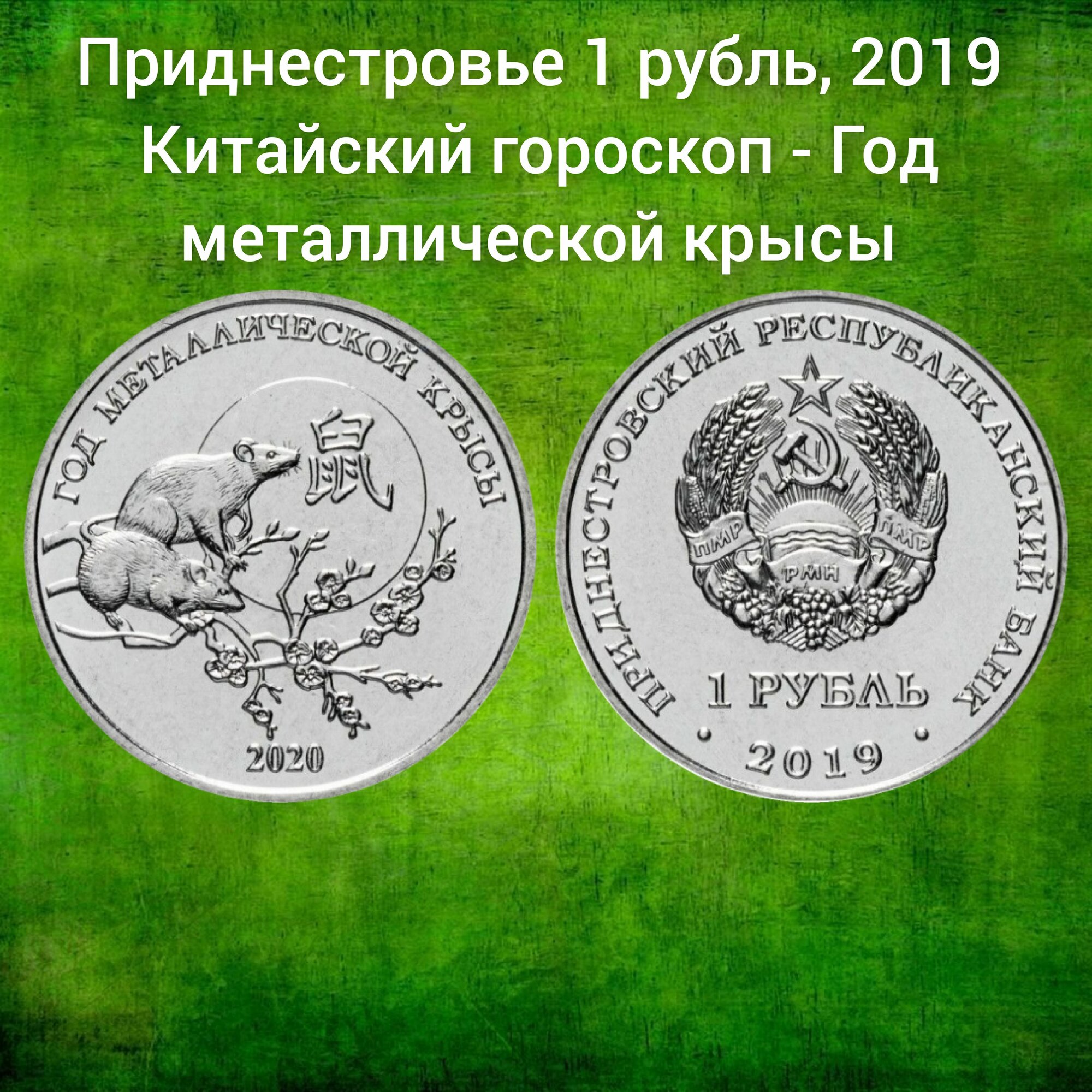 Приднестровье 1 рубль, 2019 Китайский гороскоп - Год металлической крысы