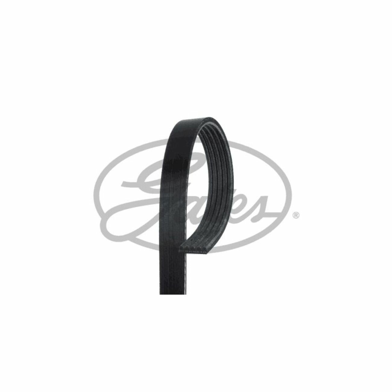 Ремень поликлиновой! Rover 75 2.0CTD 99>