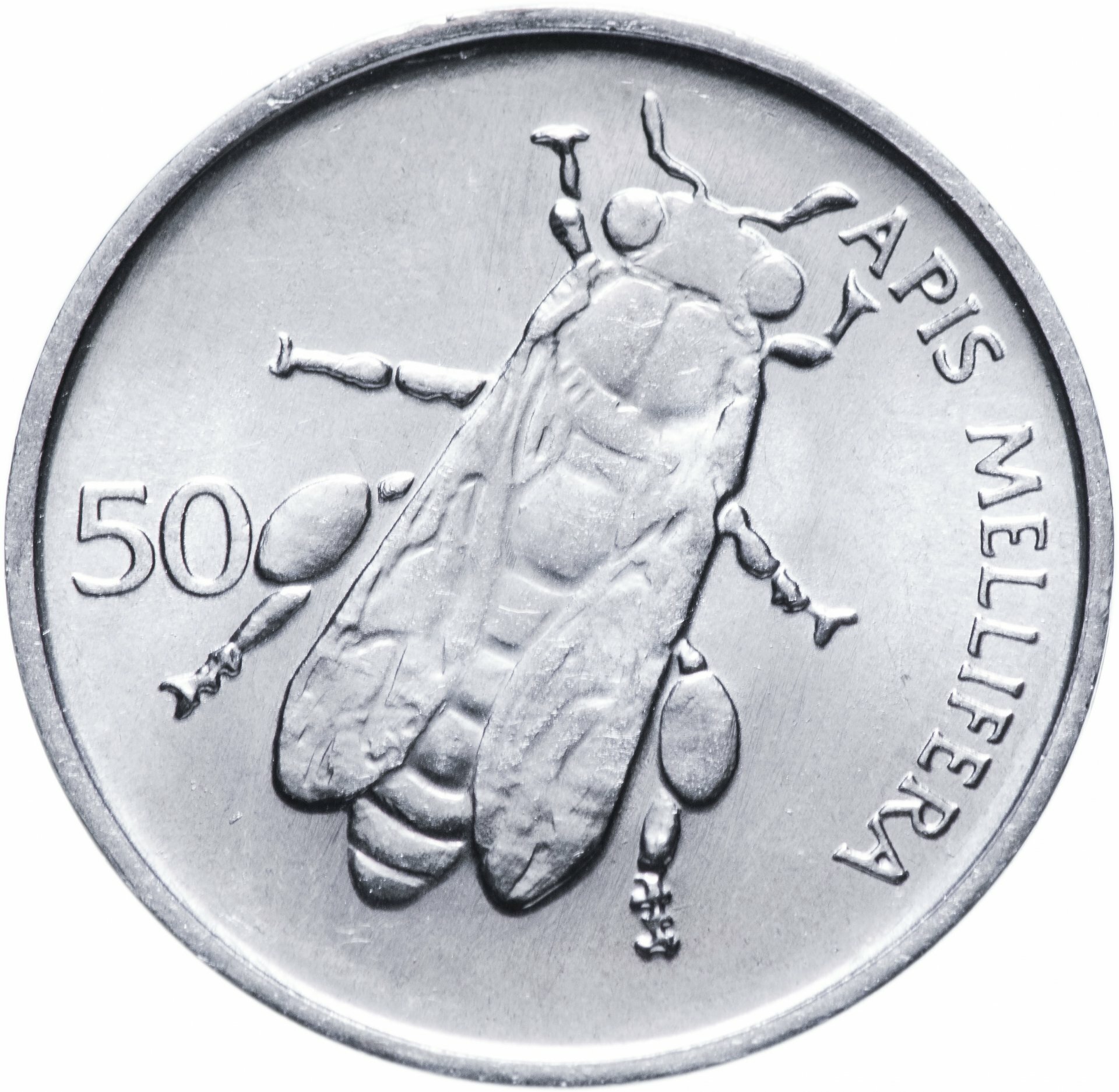 Словения 50 стотинов 1992-1993, Алюминий, в сохранности UNC