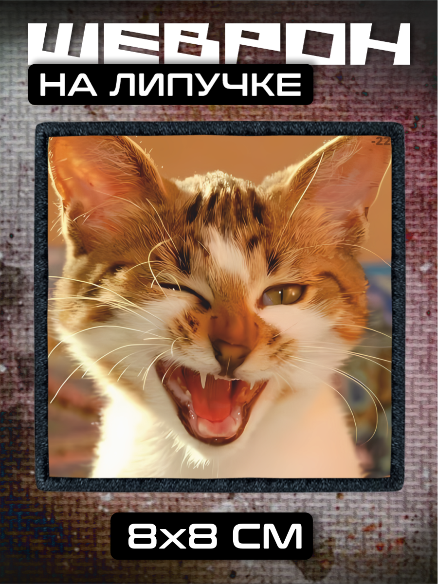Шеврон на липучке Котик кот