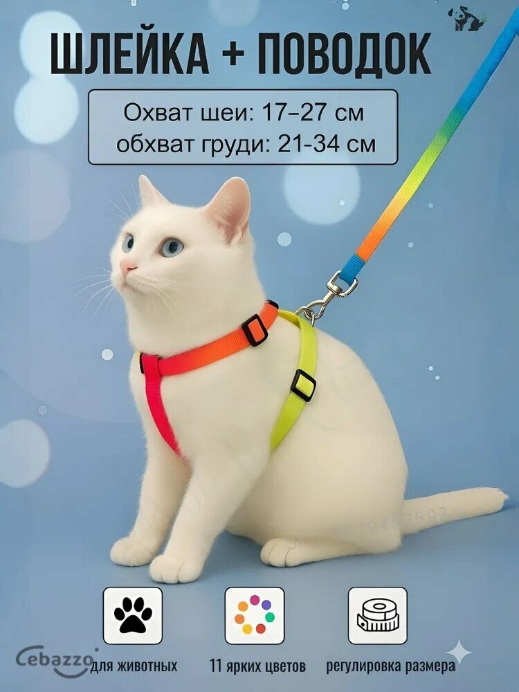 Шлейка