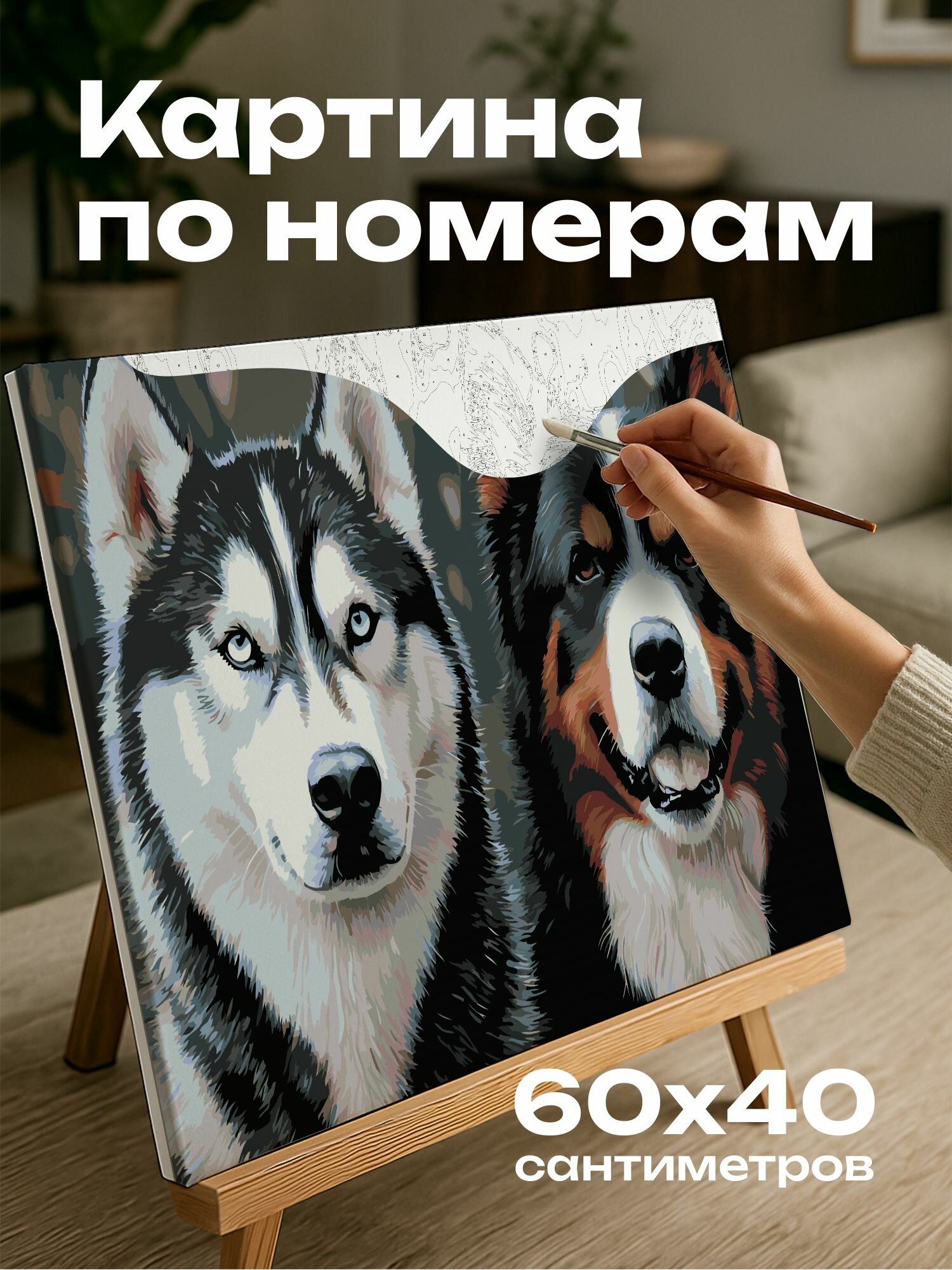 Картина по номерам 60x40 см, хаски, зенненхунд, акриловая картина, реализм, преданность, выразительные глаза
