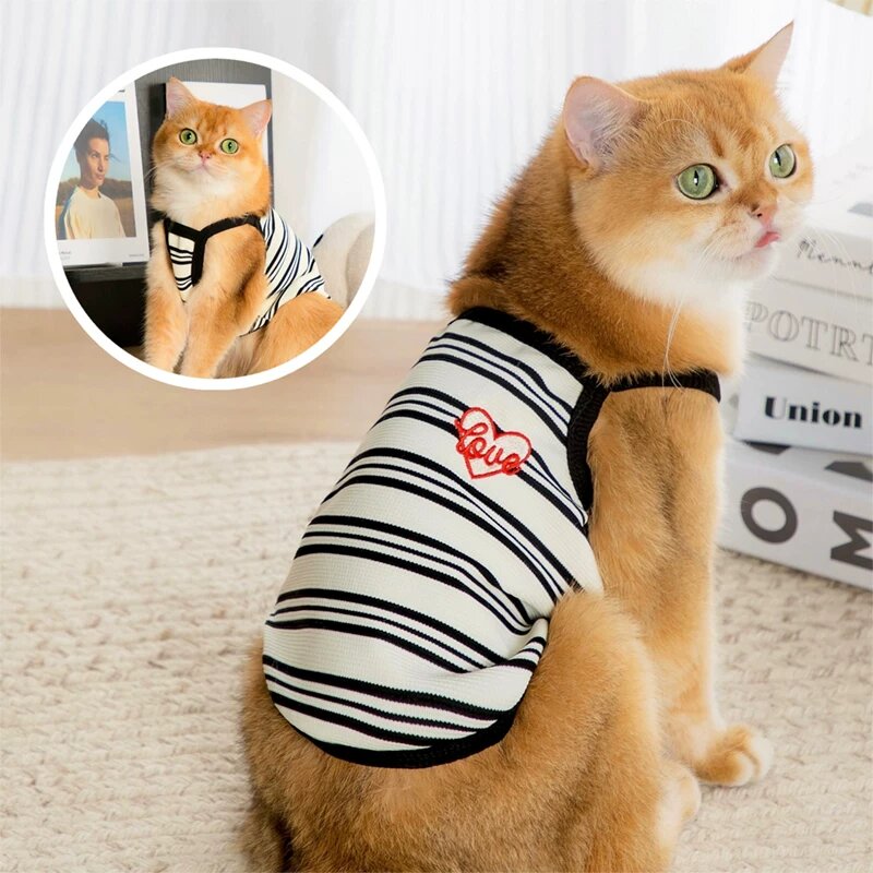 Кошачья одежда на осень и зиму для котят, кружевная вышивка, черная, размер S, грудь:33см спина:19см подходит для кошек