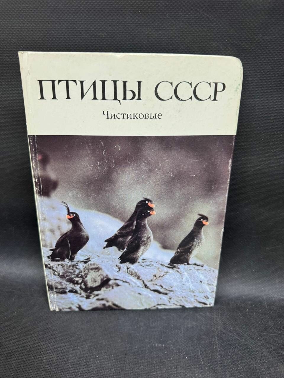 Птицы СССР. Чистиковые.