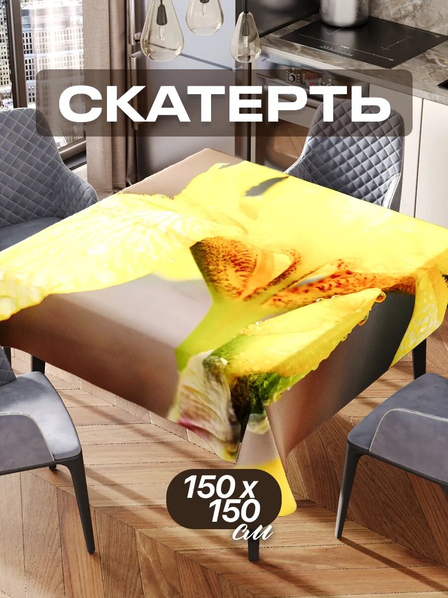 Скатерть на стол 150х150 текстильная для кухни дома