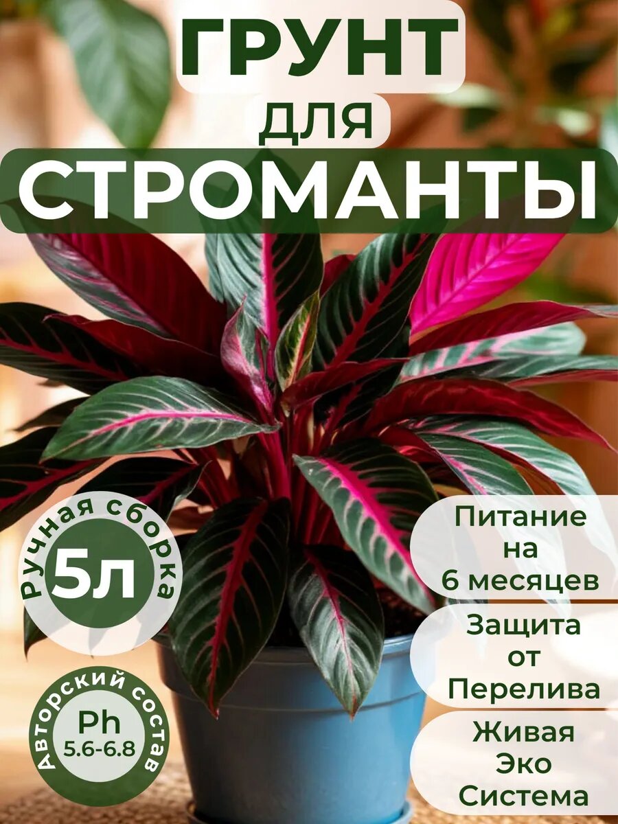 Готовый авторский грунт для Строманты премиум 5 литров