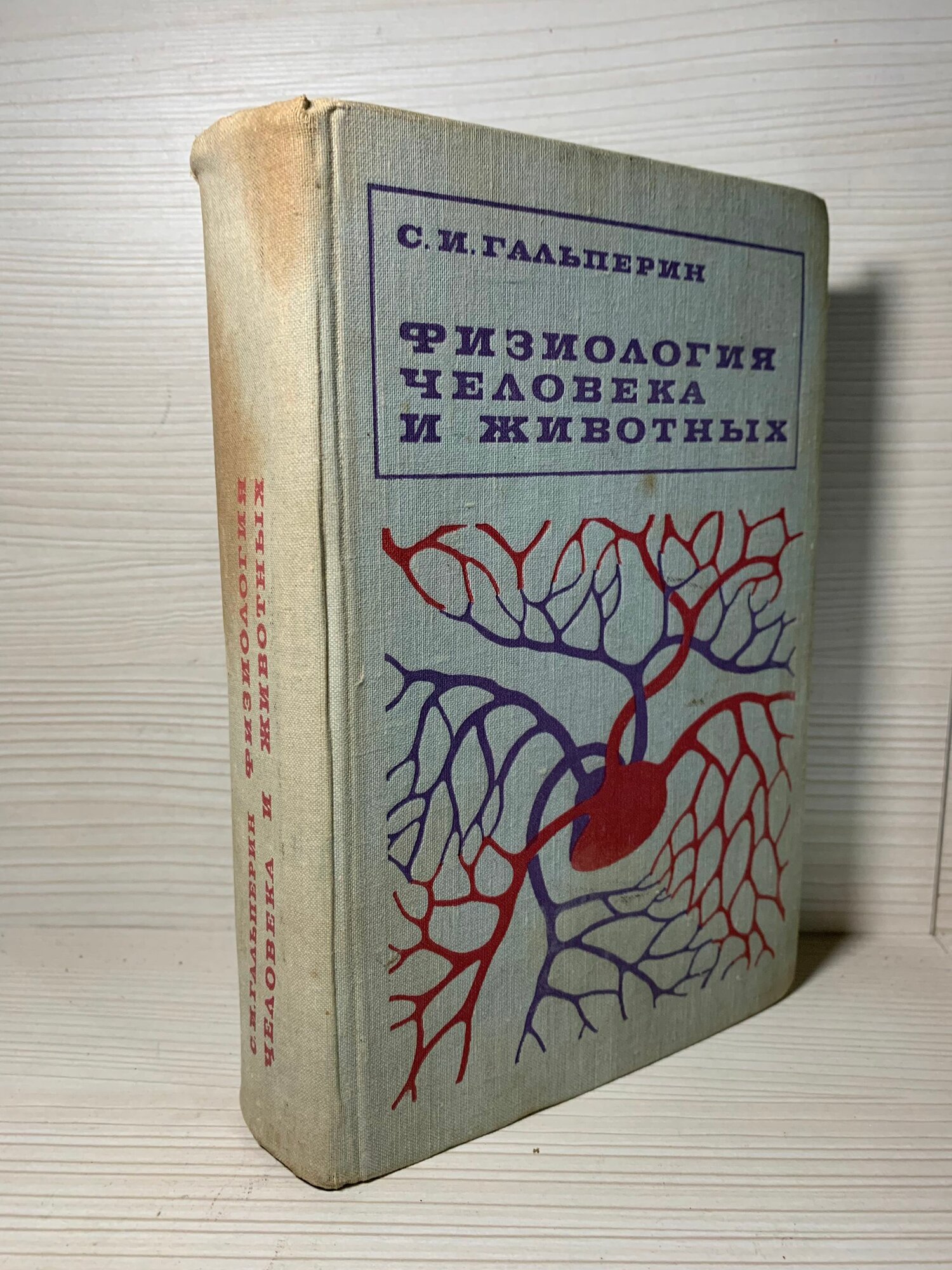 Физиология человека и животных