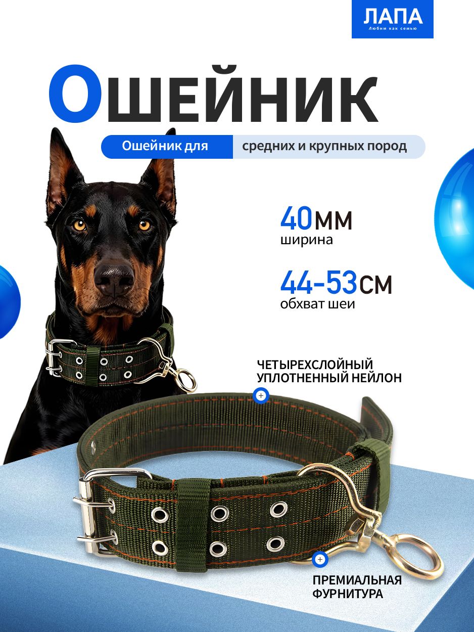 Усиленный нейлоновый ошейник для домашних животных, обхват шеи 38-54 см, подходит для собак мелких и средних пород весом 8-50 кг