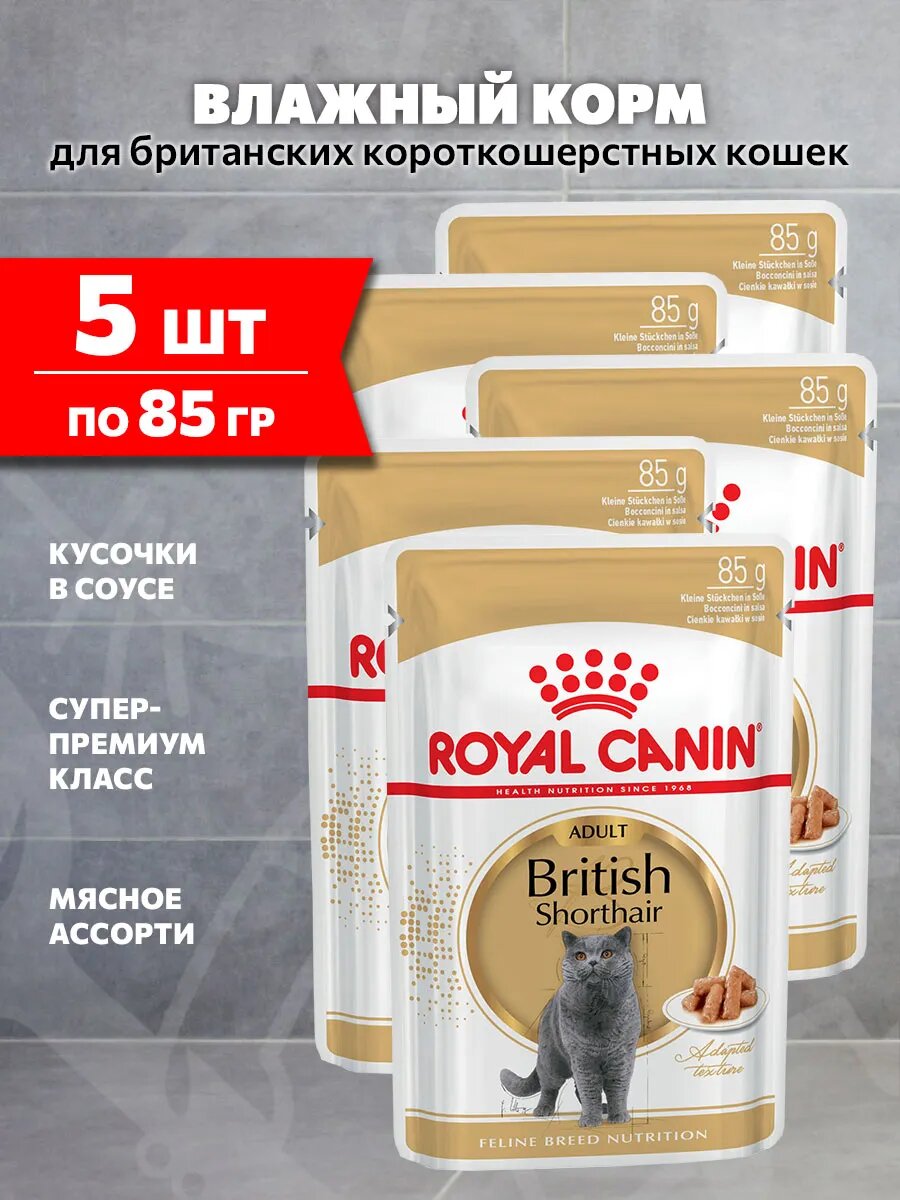 Корм влажный Royal Canin British Shorthair Adult для взрослых британских короткошерстных кошек в соусе пауч, 85 г х 5 шт
