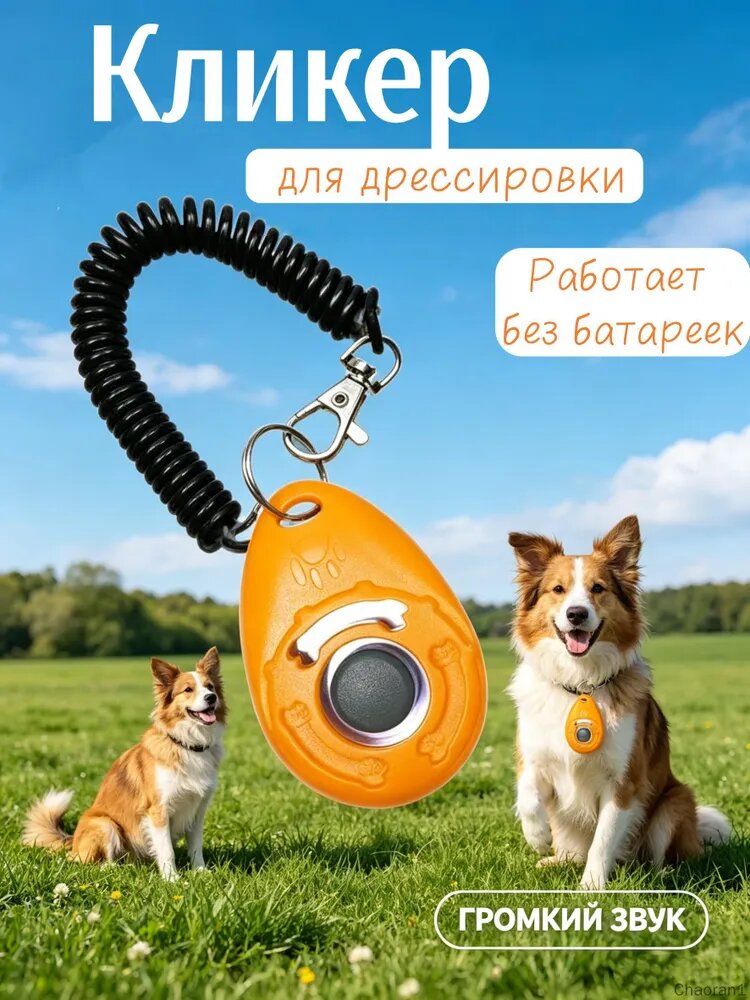 Кликер для дрессировки собак браслет, оранжевый