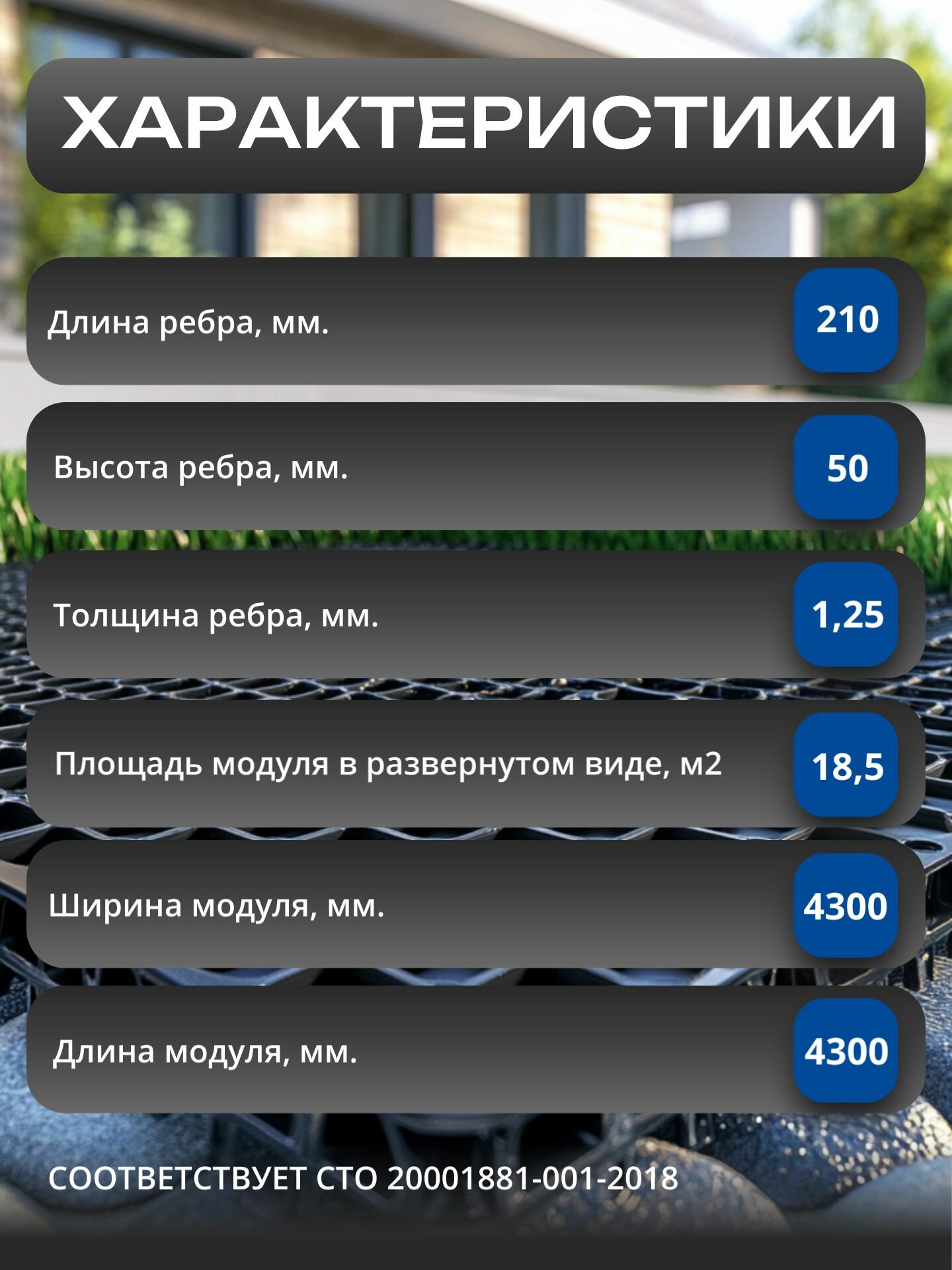 Георешетка объемная старатель «Фортис», 210x50 мм, перфорированная, для укрепления склонов, для дорожек — фото 1