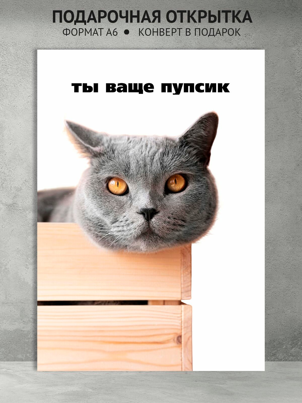 Подарочная открытка с уникальной иллюстрацией котик "Ты ваще пупсик" с днем рождения, с юбилеем, без повода