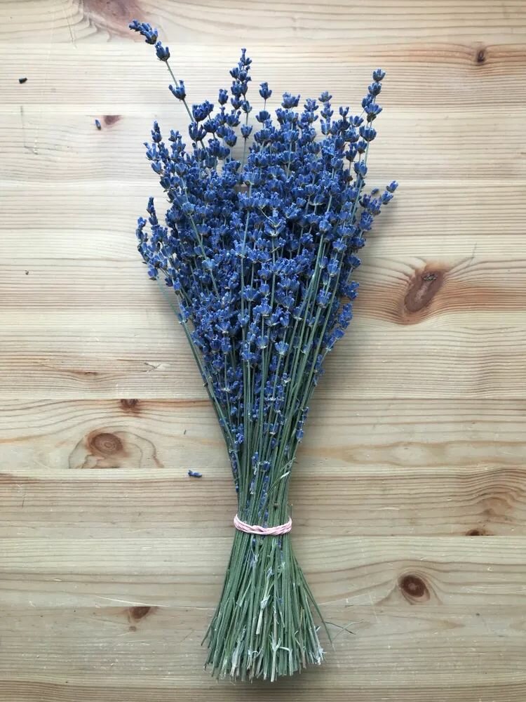 Лавандовый стол Сухоцветы Лаванда, 30 см, 60 гр, 1 шт