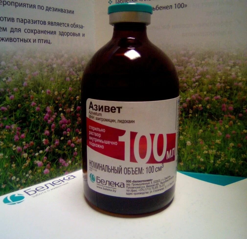 Азивет 1 шт 100 мл