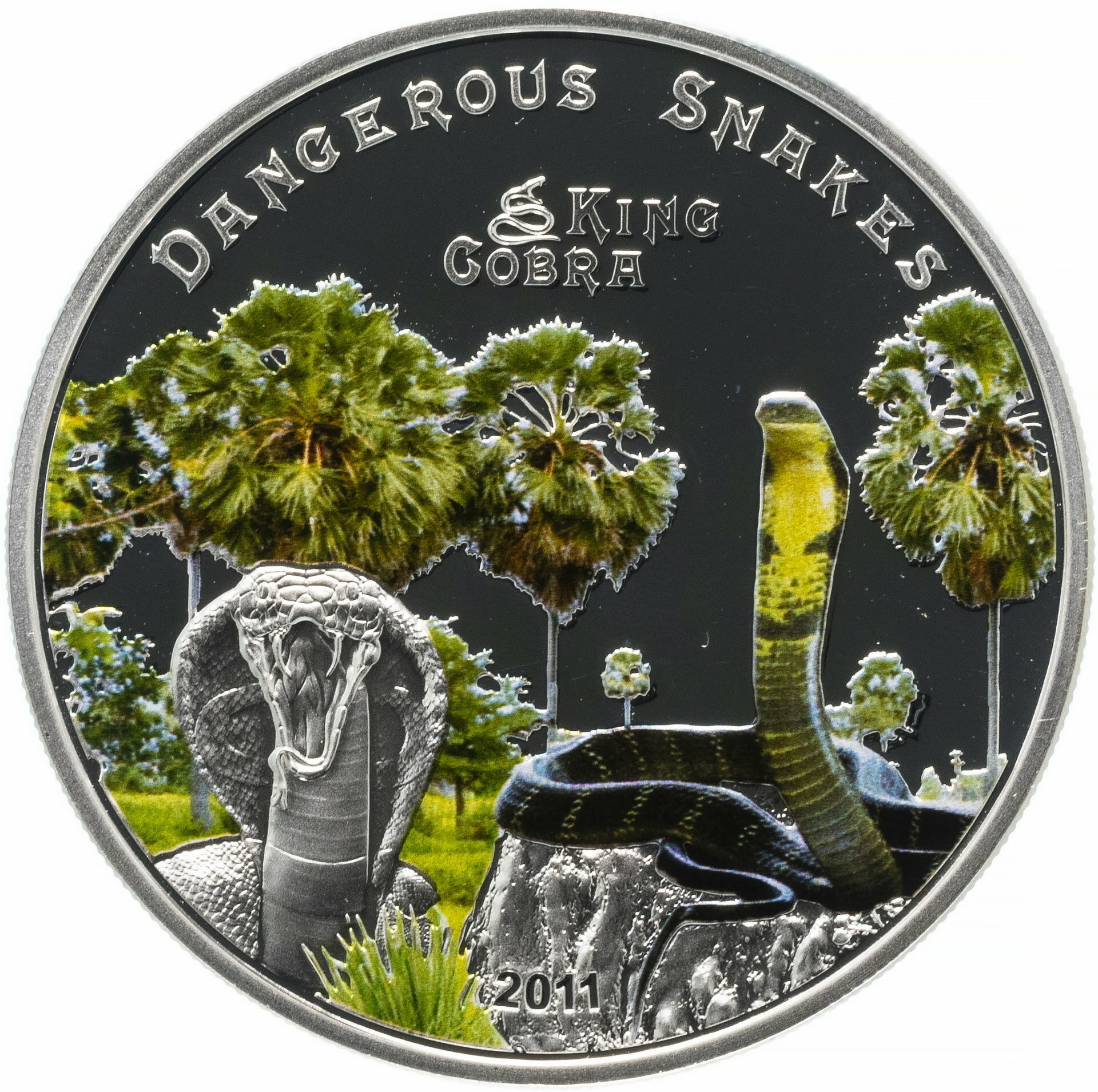 Острова Кука 5 долларов 2011 Proof "Опасные змеи - королевская кобра" в футляре, с сертификатом, Серебро 925