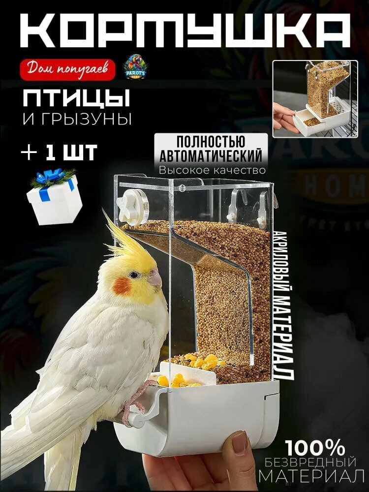 Автоматическая кормушка для попугаев, брызгозащищенная, большая емкость