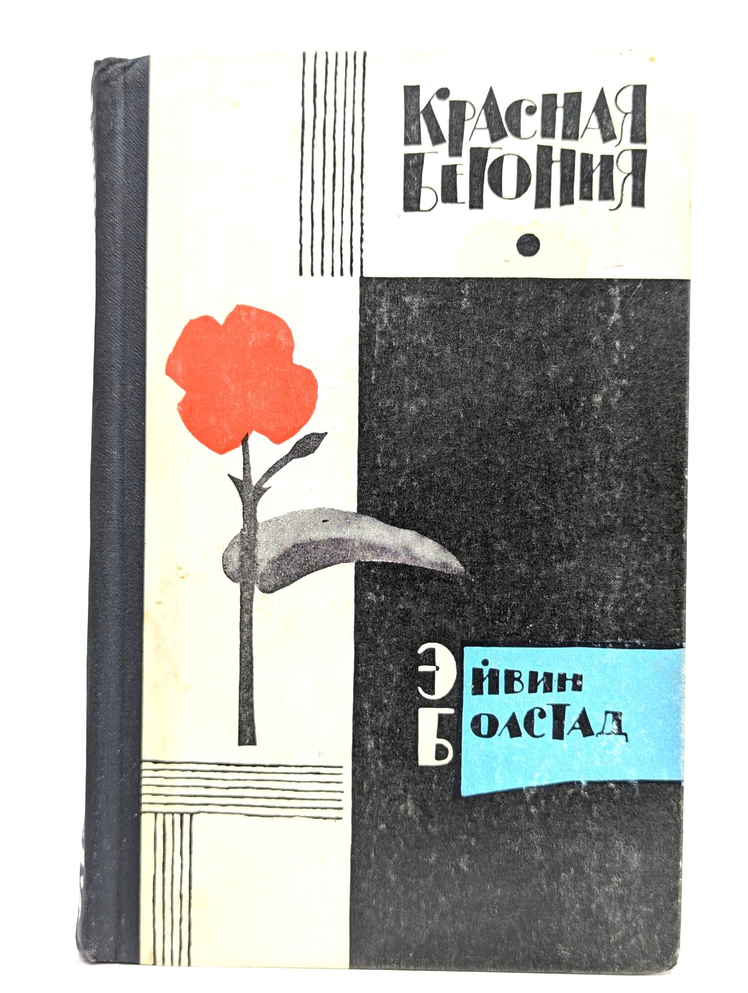 Красная бегония Болстад Эйвин 1964