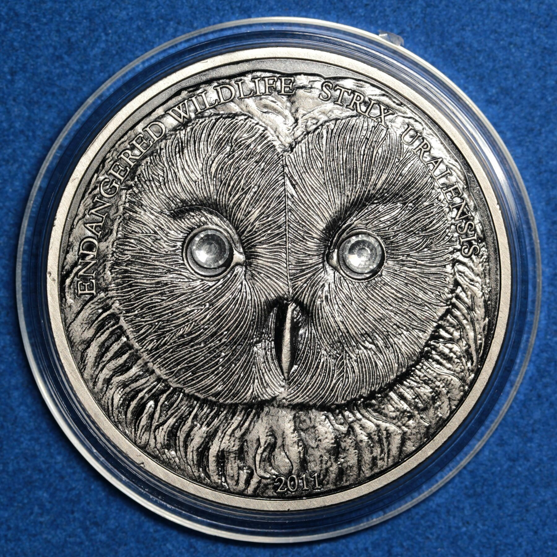 Монета 500 тугриков 2011 Сова Монголия Фауна Цветные глаза. Копия монеты
