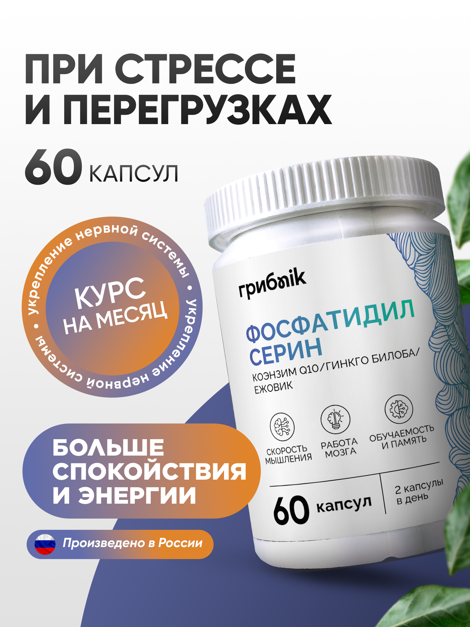 Фосфатидилсерин, ежовик гребенчатый + коэнзим q10 + гинкго билоба, ноотропы для мозга и памяти 60 капсул, ГрибNik