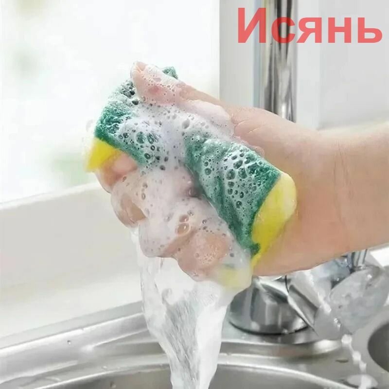 Губка — фото 1