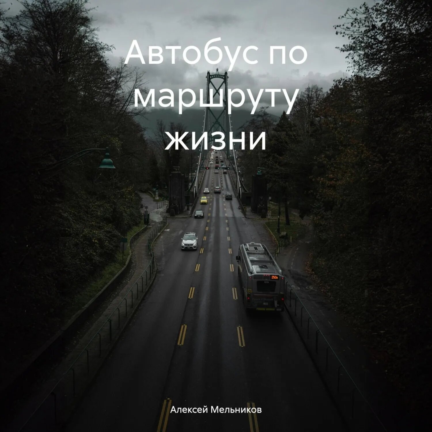 Автобус по маршруту жизни [Аудиокнига]