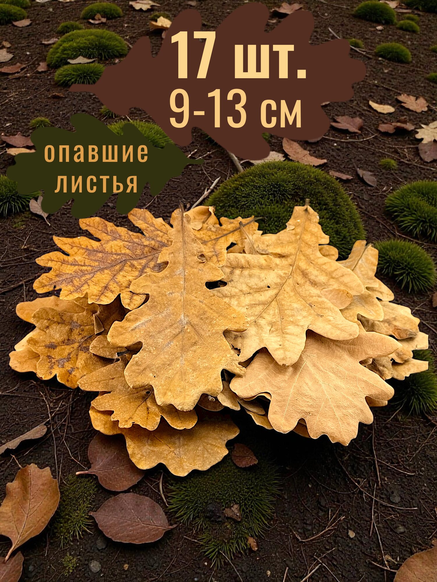 Листья дуба M/17 шт, для аквариума, для креветок, для раков, для укрытия,