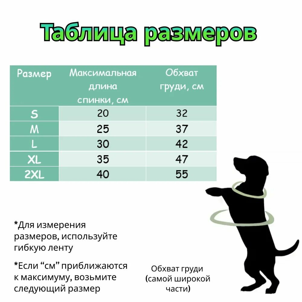 KNOW EASY-Одежда для животных — фото 1