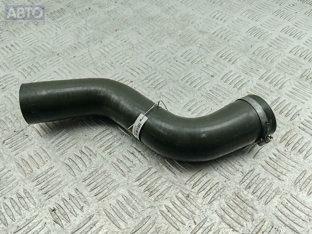 Патрубок интеркулера Renault Kangoo 2 (c 2007)