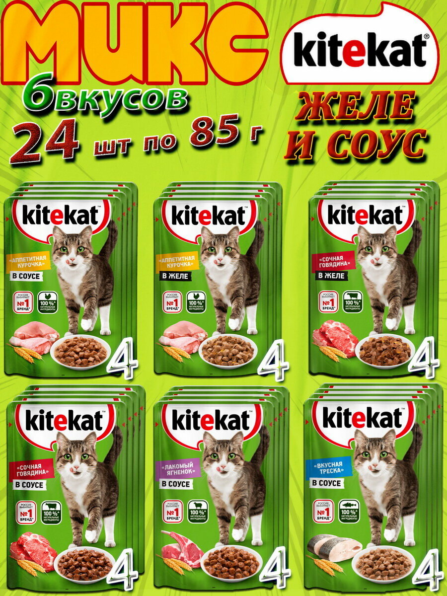 Набор корма Китекет 6 вкусов по 4 шт в соусе и желе - 24 шт, ассорти для всех пород