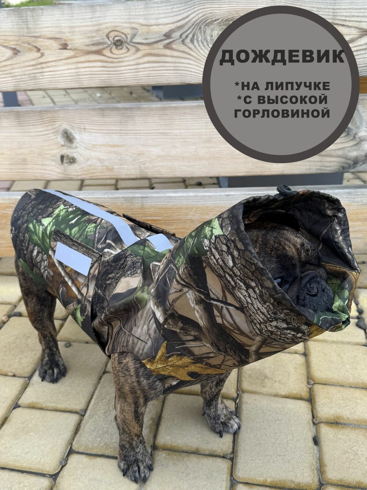 Одежда для животных — фото 1
