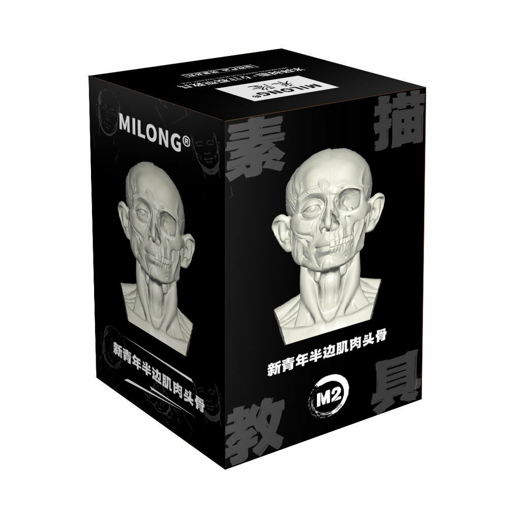 Модель головы Милонга, голова Тэо, гипсовая модель головы, учебное пособие, реалистичная голова, мини-версия, гипсовая модель для эскизов