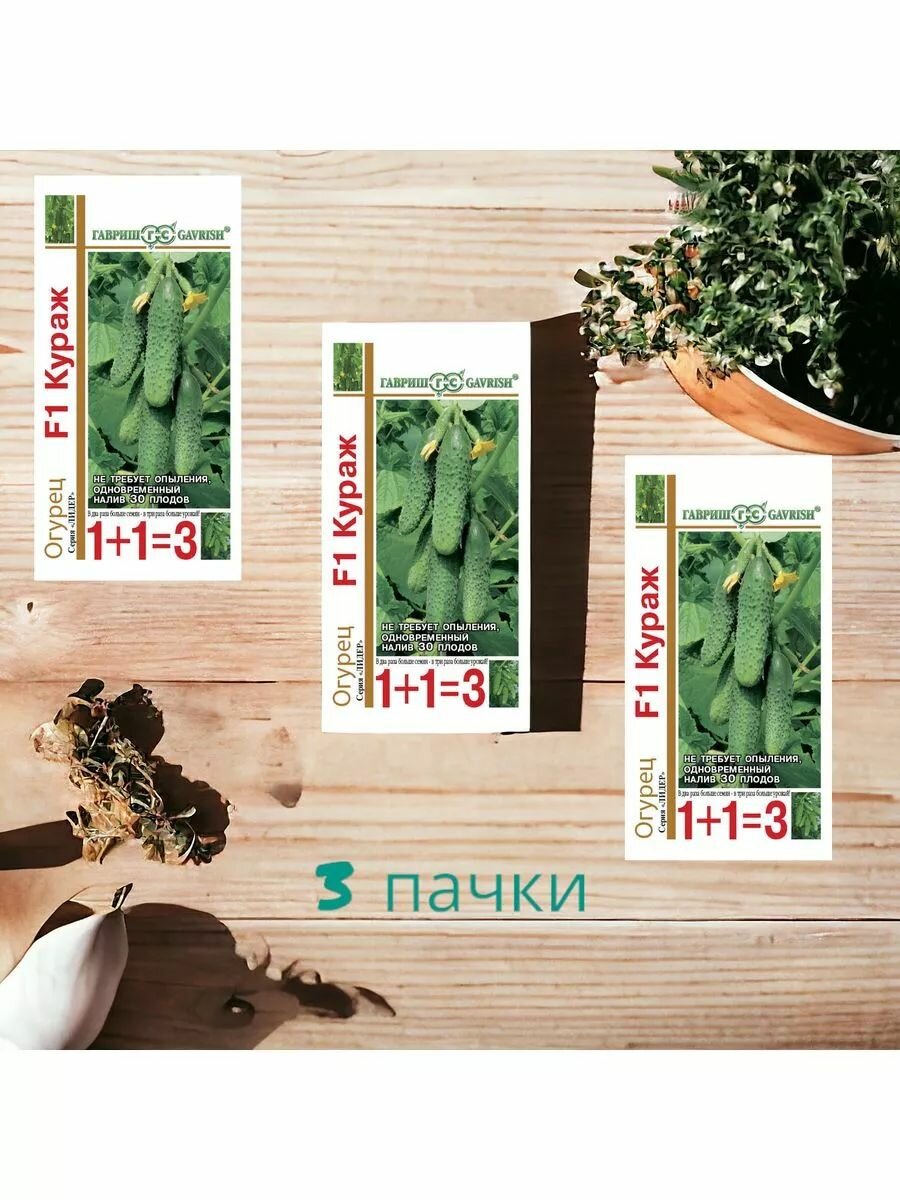 Огурец Кураж F1 ПК сер 1+1 цв. п 20 семян (комплект из 3 пачек) Гавриш