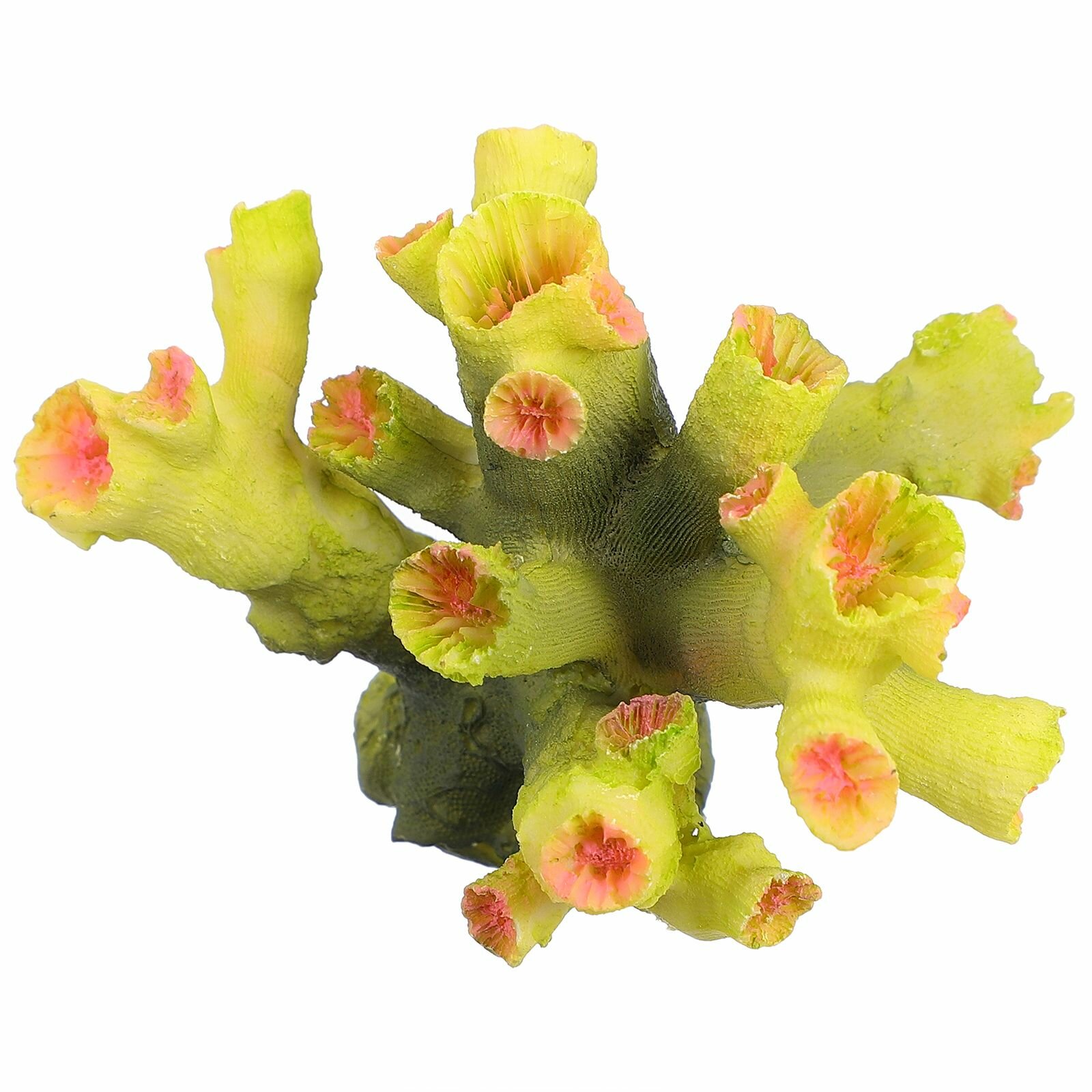 Натуральный Зеленый Коралл 7x7 CM Добавляет Изюминку Аквариуму И Создает Уют Для Рыб