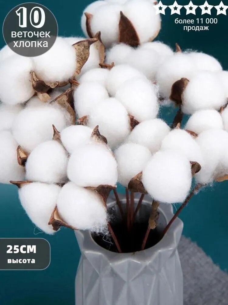 Сухоцветы для декора, Хлопок сухоцвет, белый, 20 шт, высота 25 см