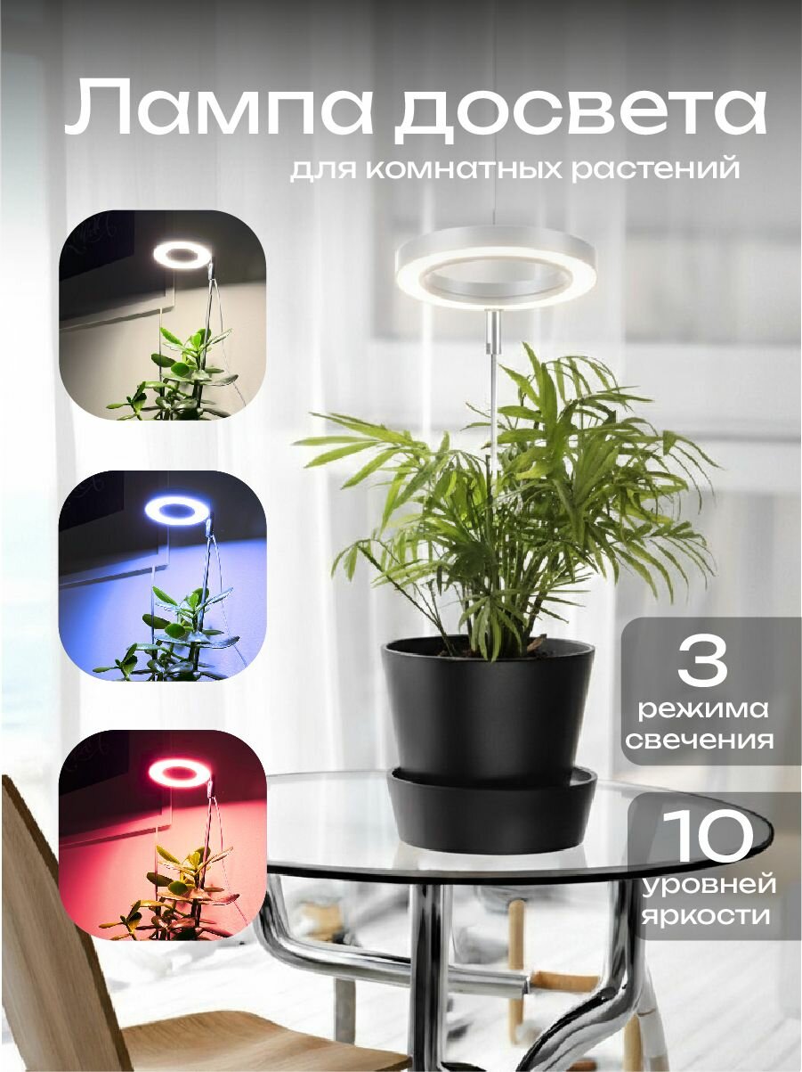 Лампа досвета для комнатных растений белая 1шт (красный синий)