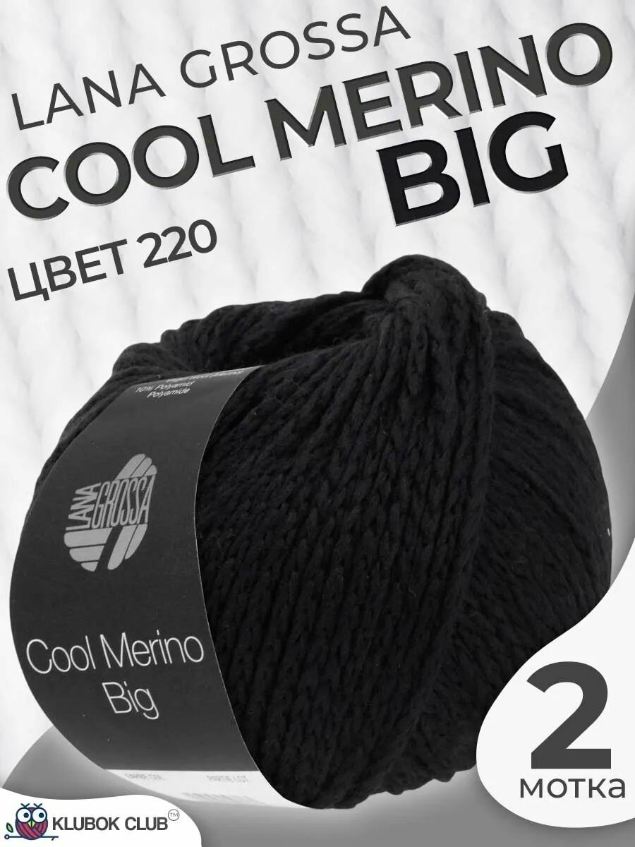 Пряжа для вязания Lana Grossa Cool Merino Big шнурок, цвет 220, 2 мотка