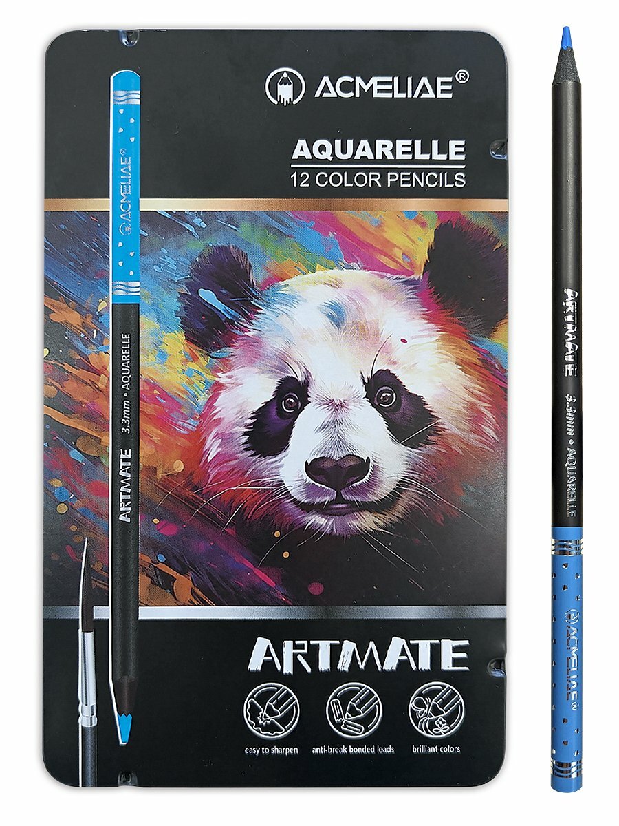 Набор акварельных цветных карандашей BLACKWOOD ACMELIAE 12ЦВ. С кисточкой, В МЕТ. Футляре