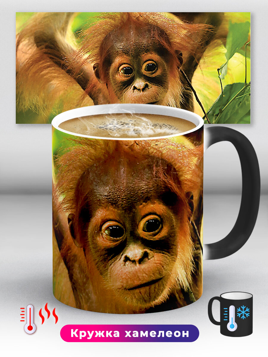 Кружка хамелеон Маленький орангутанг Обезьянка