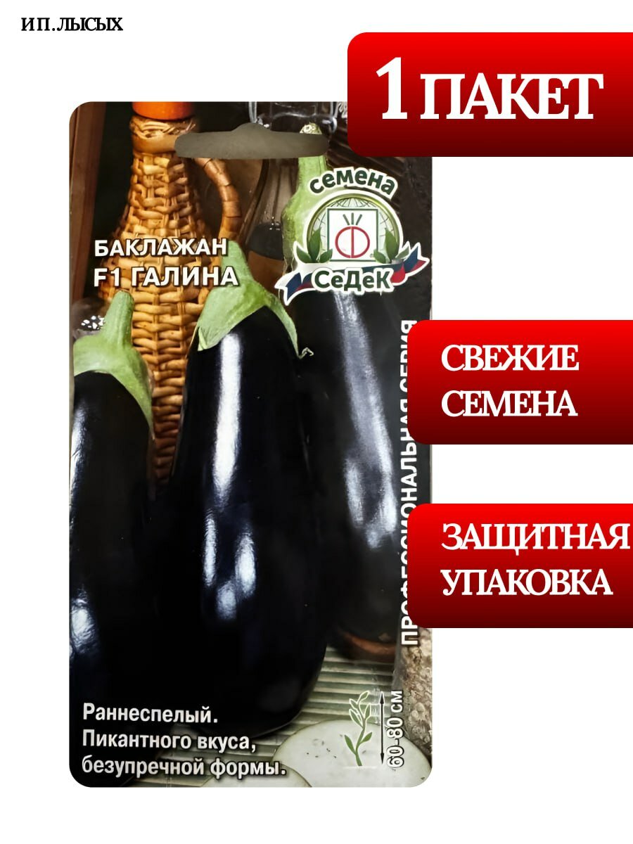 Семена Баклажан "Галина"