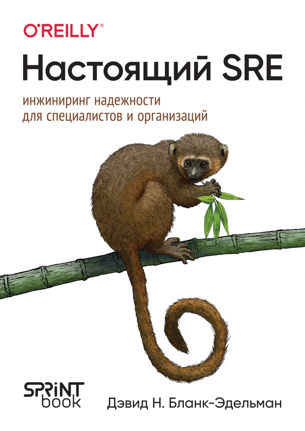 Настоящий SRE. Инжиниринг надежности для специалистов и организаций (pdf + epub) [Цифровая книга]
