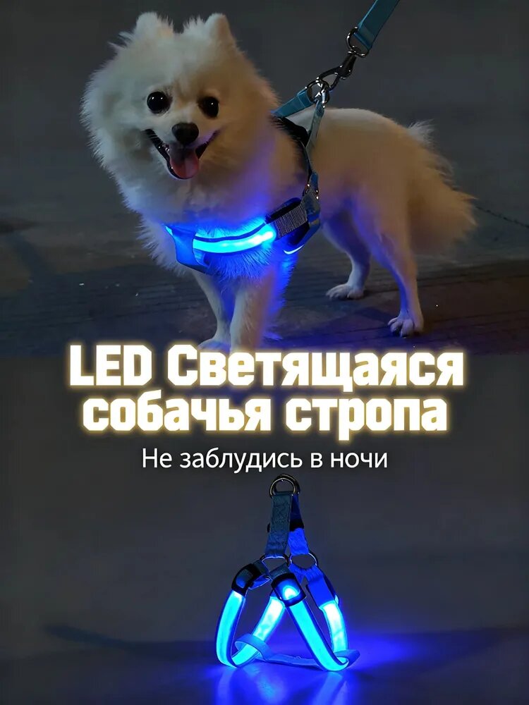 Жилет-шлейка с LED подсветкой: Светящийся водонепроницаемый жилет для средних и крупных собак с 3 режимами свечения